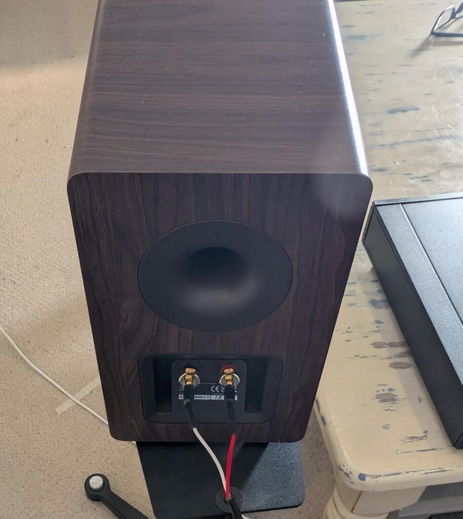 DALI KUPID - HiFi and Music Source